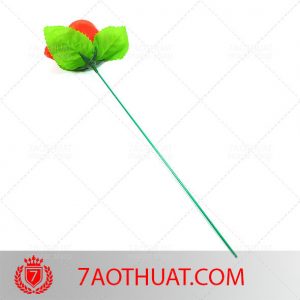 Lửa hóa bông hồng - 7aothuat